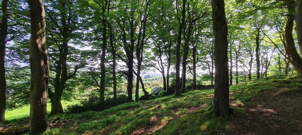Updates - Conlig Nature Reserve